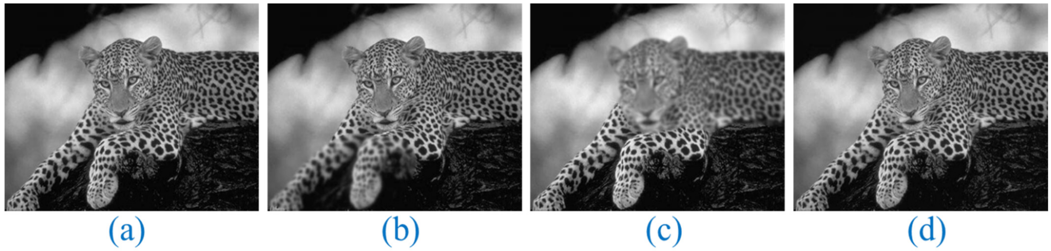 Improved Procedure for Multi-Focus Image Quality Enhancement Using Image Fusion with Rules of ...