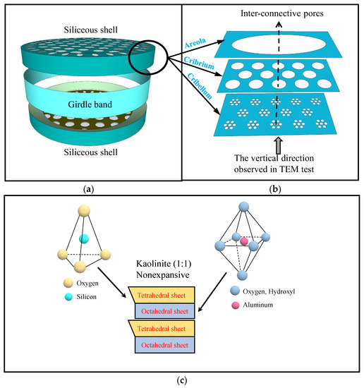 Role of Diatom Microstructure in Determining the Atterberg Limits of ...