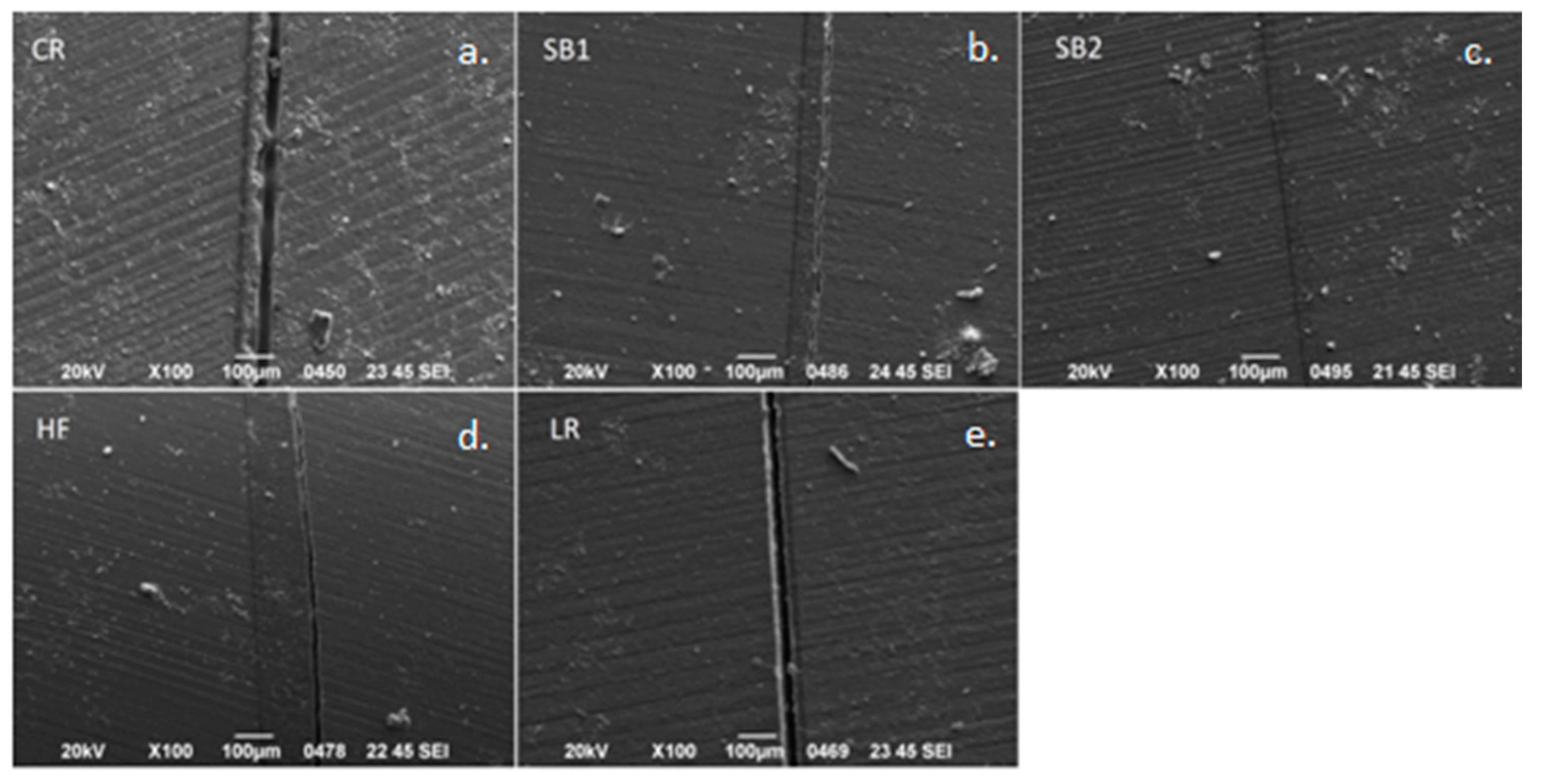 Microgap Formation between a Dental Resin-Matrix Computer-Aided Design ...