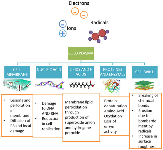 Review on Recent Applications of Cold Plasma for Safe and Sustainable ...