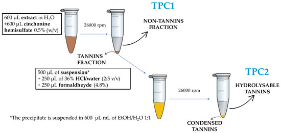 Tannin Extraction from Chestnut Wood Waste: From Lab Scale to Semi ...