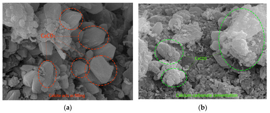 State-of-the-Art Review of Utilization of Microbial-Induced Calcite ...