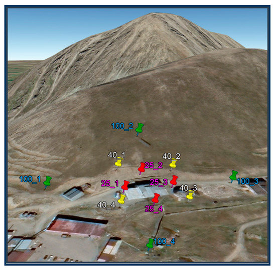 Studies of Anomalous Phenomena in the Development of Electron-Nuclear ...
