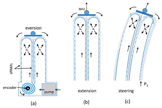 Plant-Inspired Soft Growing Robots: A Control Approach Using Nonlinear ...