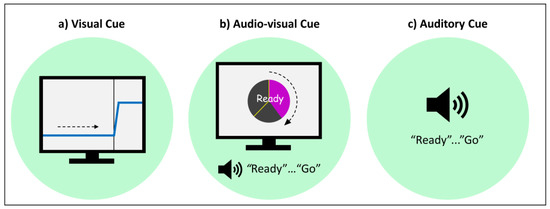 Characteristics of the Contingent Negative Variation during Lower Limb Functional Movement with ...