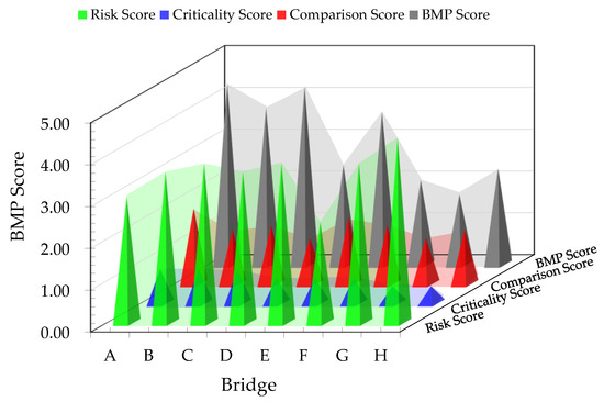 Evaluation of Bridge Maintenance Priorities in Megacities