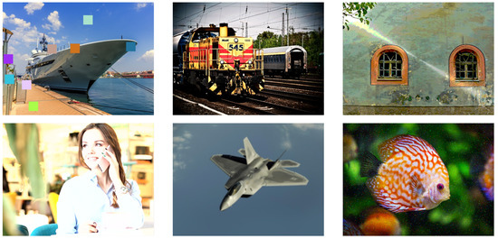 Improved Image Quality Assessment by Utilizing Pre-Trained Architecture ...