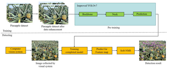 A Pineapple Target Detection Method in a Field Environment Based on ...