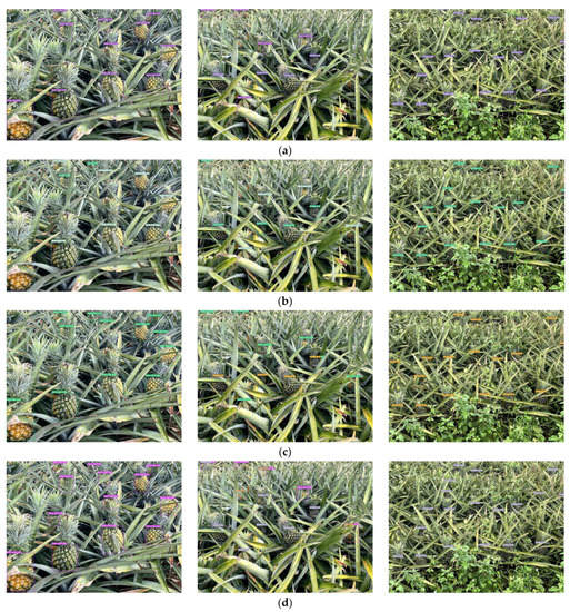 A Pineapple Target Detection Method in a Field Environment Based on ...