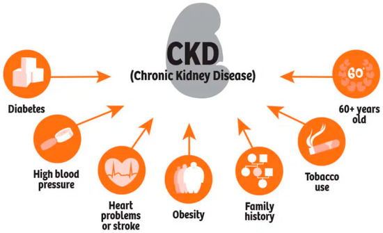 Efficient Data Preprocessing with Ensemble Machine Learning Technique for the Early Detection of ...