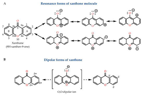 Xanthone Derivatives in the Fight against Glioblastoma and Other Cancers