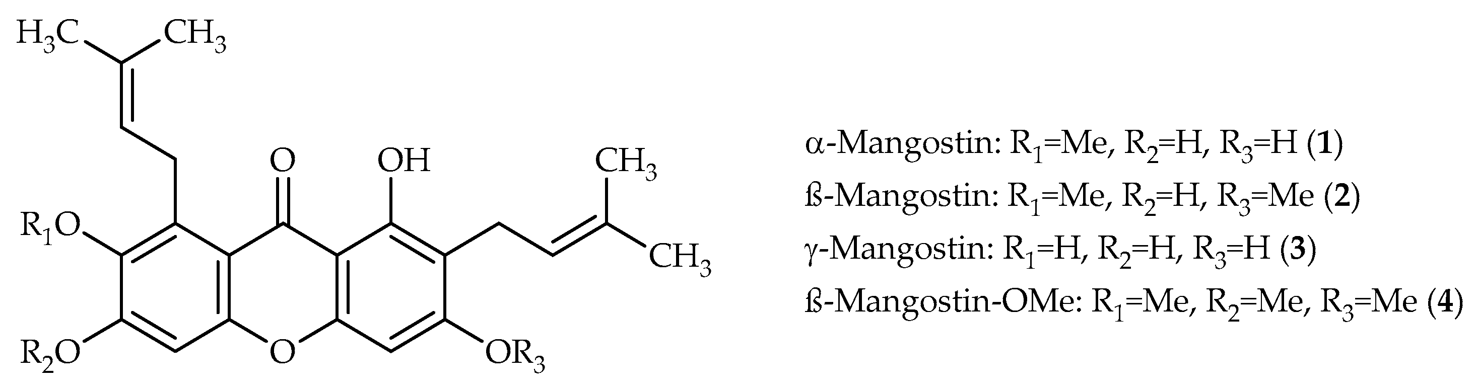 Xanthone Derivatives in the Fight against Glioblastoma and Other Cancers