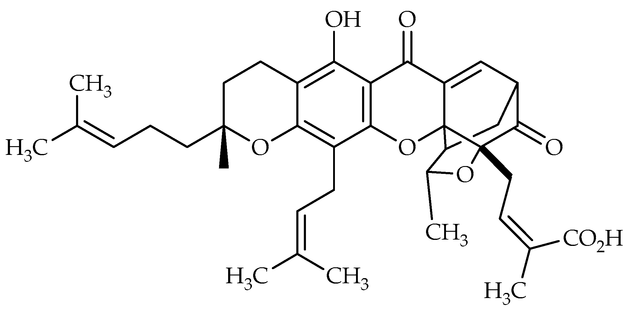 Xanthone Derivatives in the Fight against Glioblastoma and Other Cancers