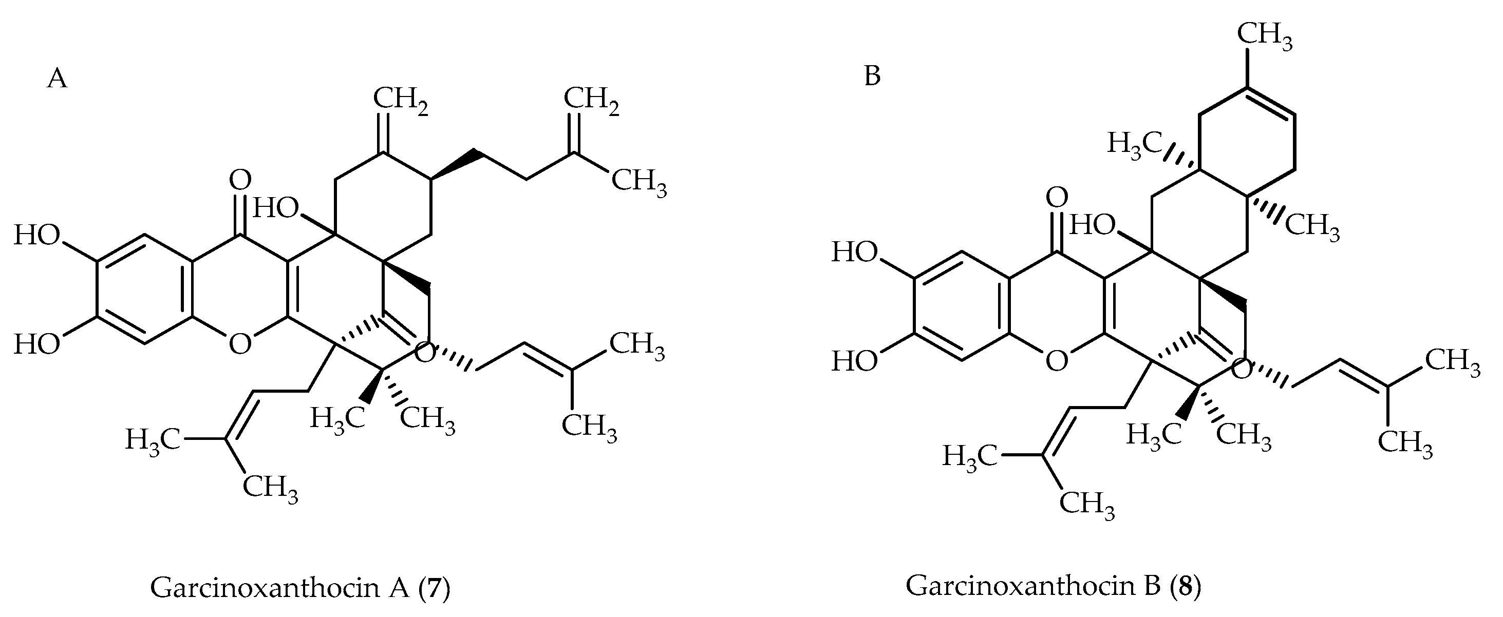 Xanthone Derivatives in the Fight against Glioblastoma and Other Cancers
