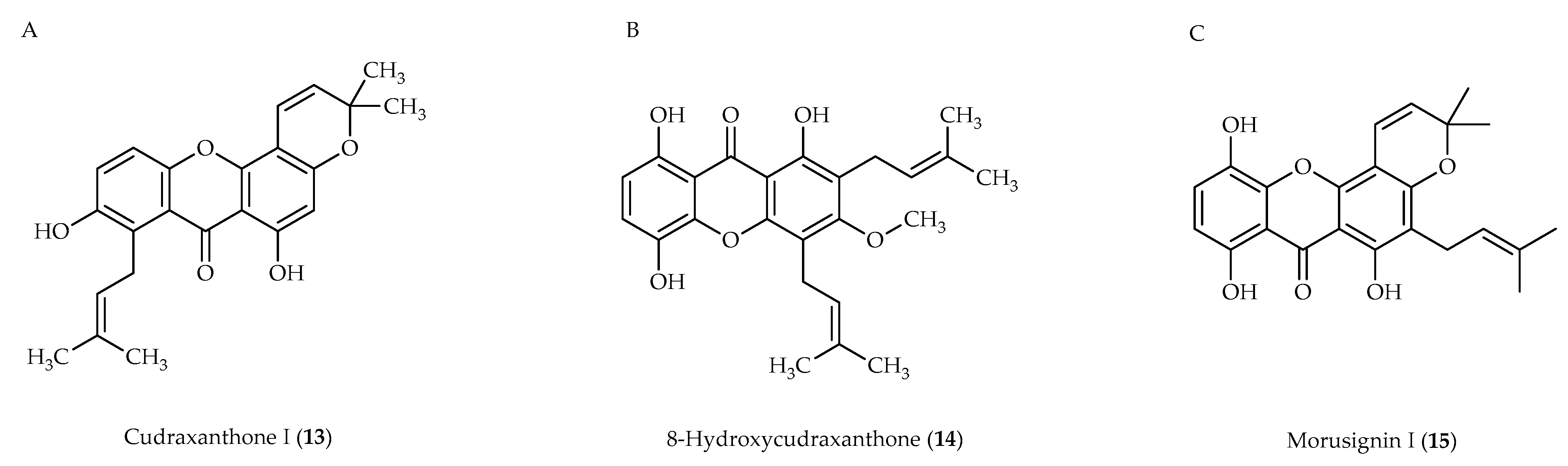 Xanthone Derivatives in the Fight against Glioblastoma and Other Cancers