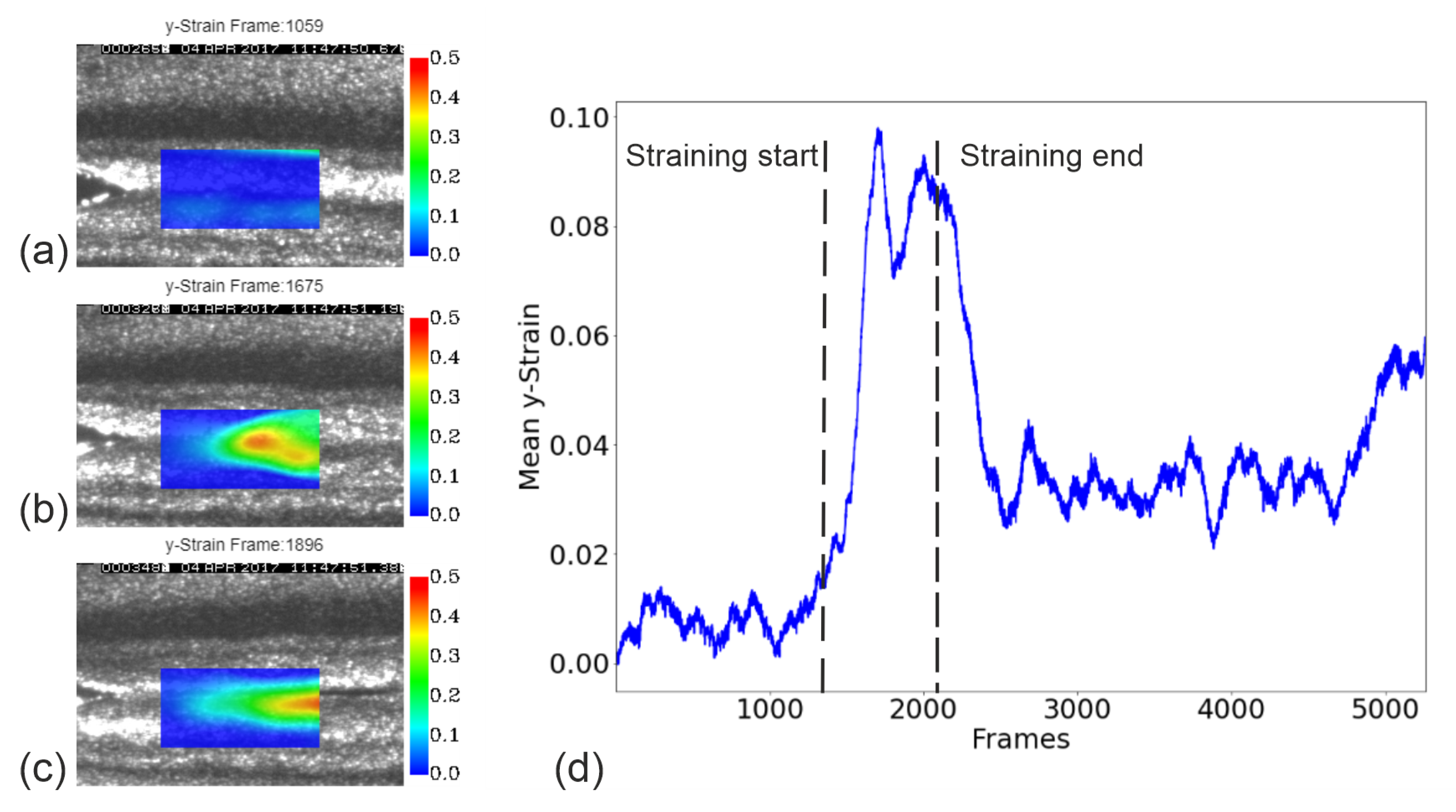 Strain Prediction Using Deep Learning during Solidification Crack ...