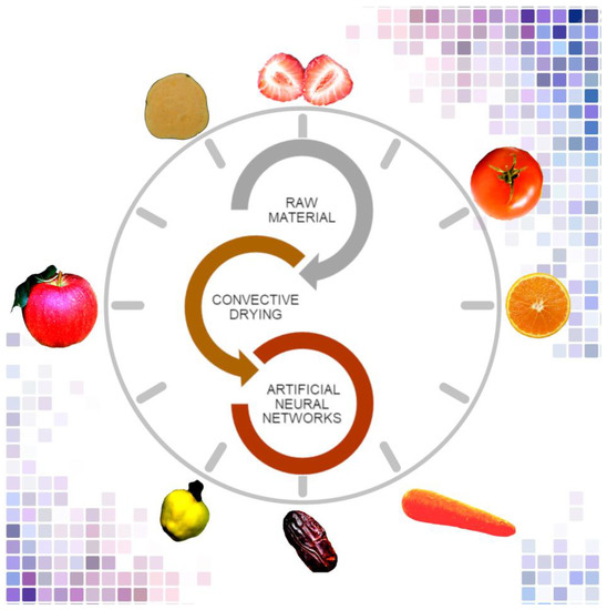 Applications MLP and Other Methods in Artificial Intelligence of Fruit ...