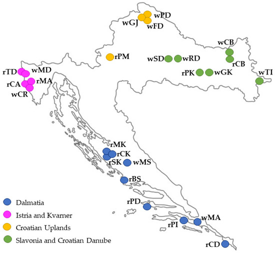 Applied Sciences | Free Full-Text | Comparative Phenolic Profiles of ...