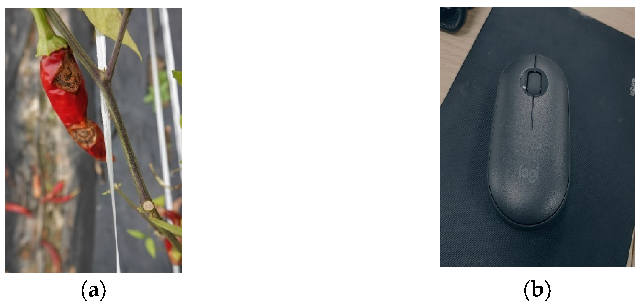 Applied Sciences | Free Full-Text | Crop Disease Diagnosis with Deep ...