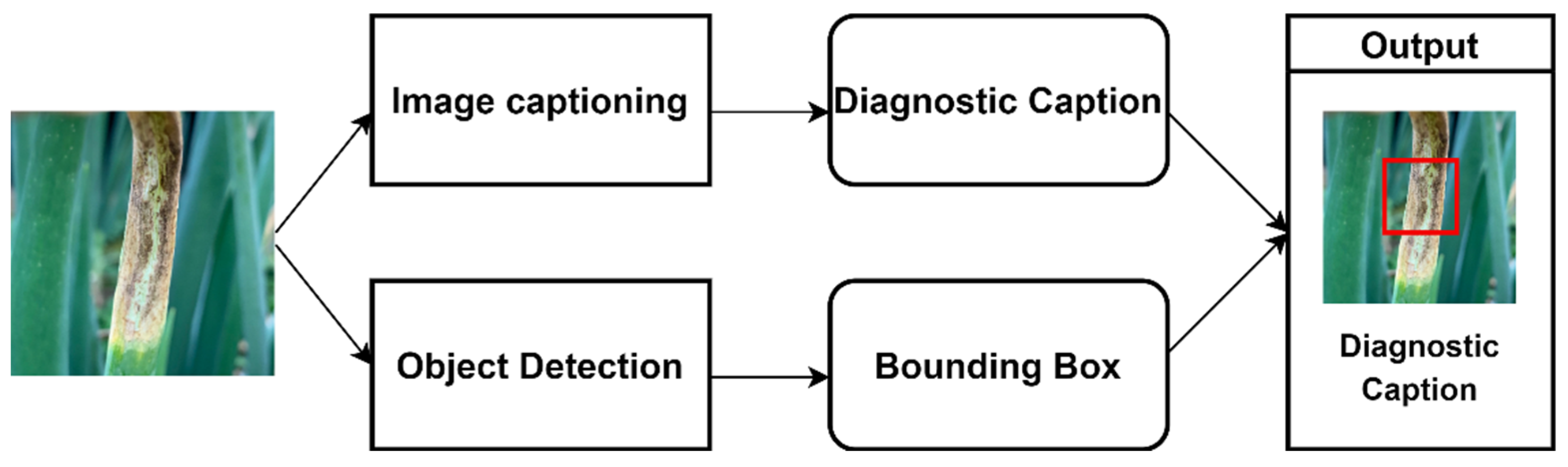 Applied Sciences | Free Full-Text | Crop Disease Diagnosis with Deep Learning-Based Image ...