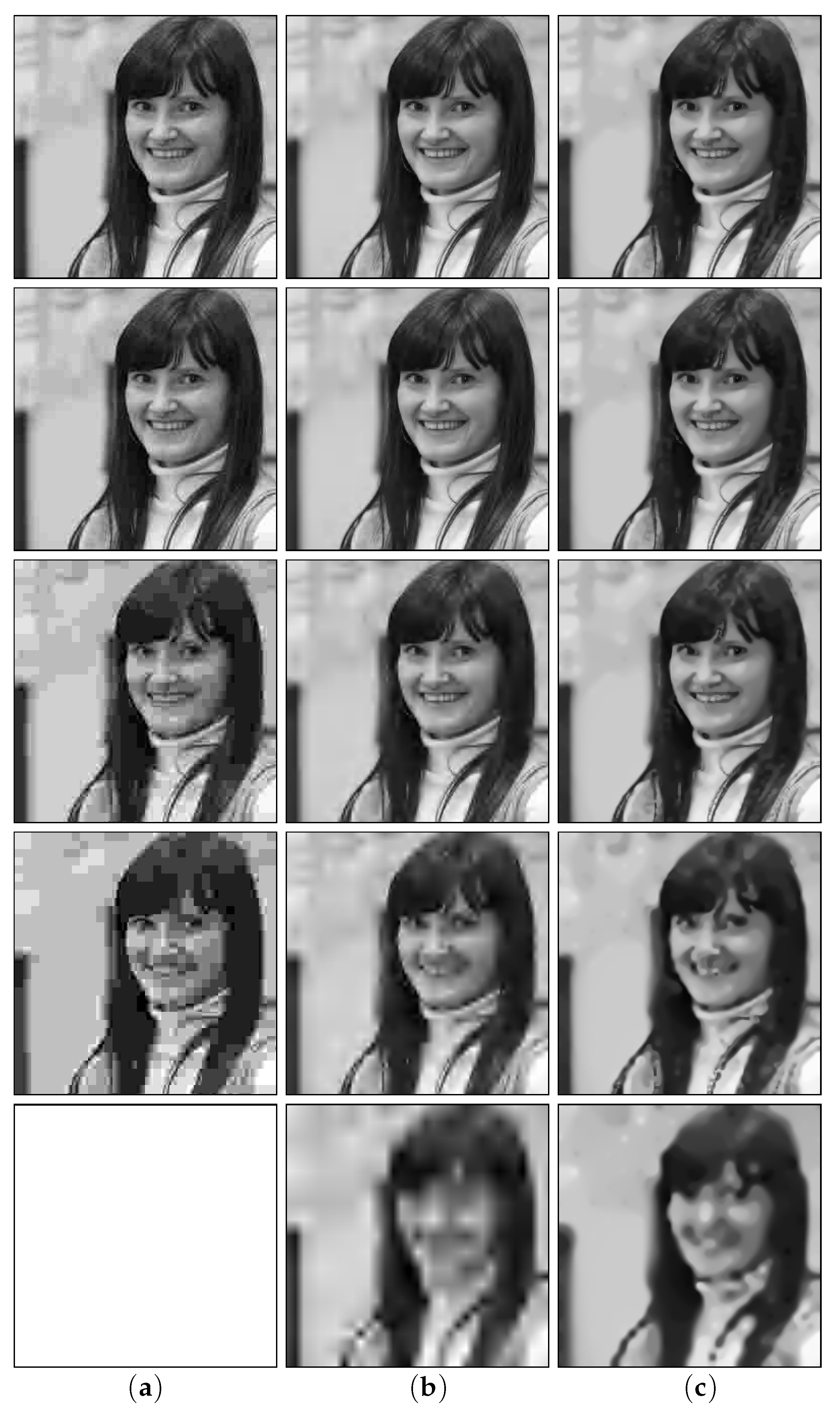 Novel Block Sorting and Symbol Prediction Algorithm for PDE-Based ...