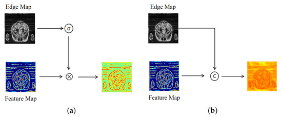 ColorMedGAN: A Semantic Colorization Framework for Medical Images
