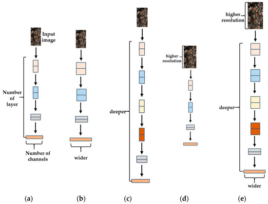 Rock Image Classification Based on EfficientNet and Triplet Attention ...