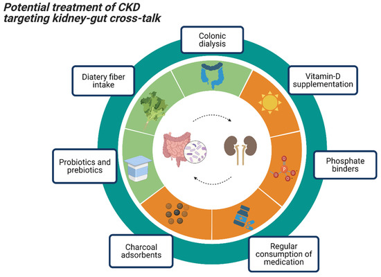 The Gastrointestinal Microbiota as a Potential Cause and Target in ...