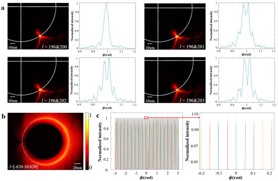 Optimized Catenary Metasurface for Detecting Spin and Orbital Angular Momentum via Momentum ...