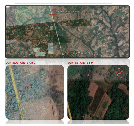 Comparative Insights into the Microbial Diversity and Community ...