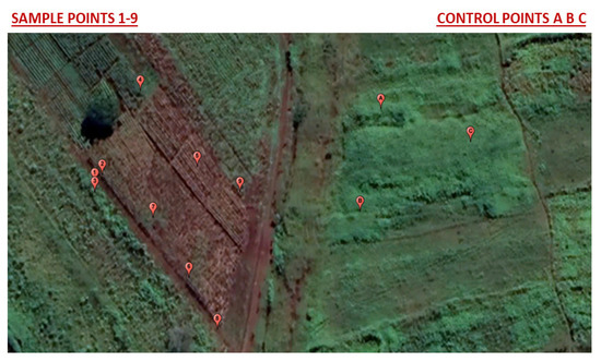 Comparative Insights into the Microbial Diversity and Community ...
