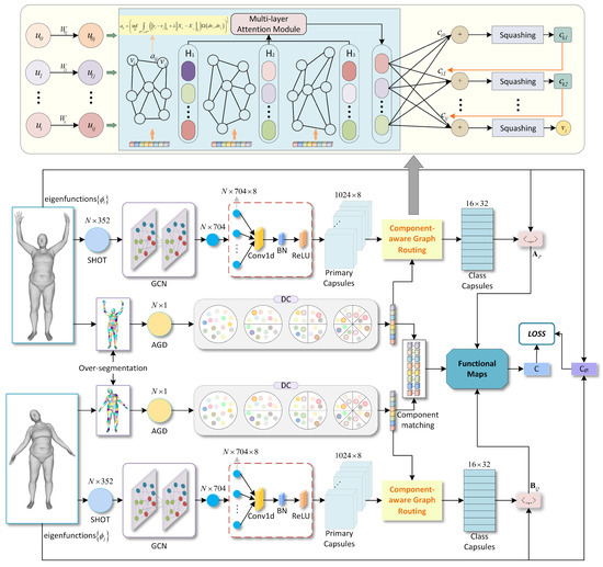 CA-CGNet: Component-Aware Capsule Graph Neural Network for Non-Rigid Shape Correspondence