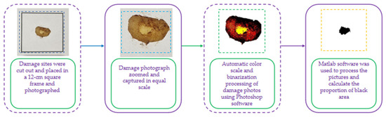 Experiment and Analysis on Friction Damage and Energy Loss ...