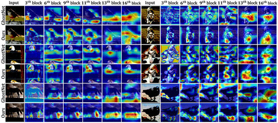 GhostNeXt: Rethinking Module Configurations for Efficient Model Design