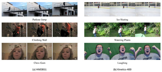 Multi-Scale Receptive Fields Convolutional Network for Action Recognition