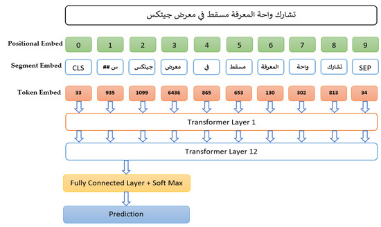 Automated Arabic Long-Tweet Classification Using Transfer Learning with ...