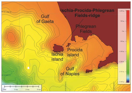Fiore Map Dischia Seismic Stratigraphy And Marine Magnetics Of The