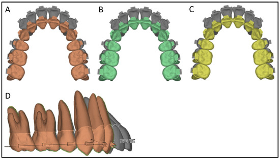 Indian Teeth Traits