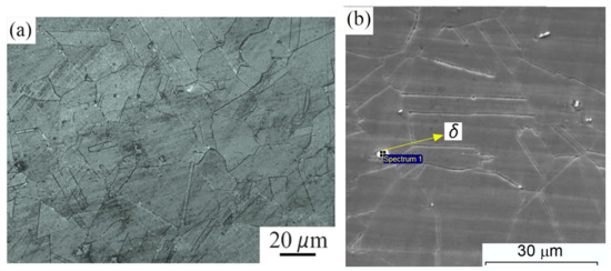 Effect of Heat Treatment on the Microstructure and Mechanical ...
