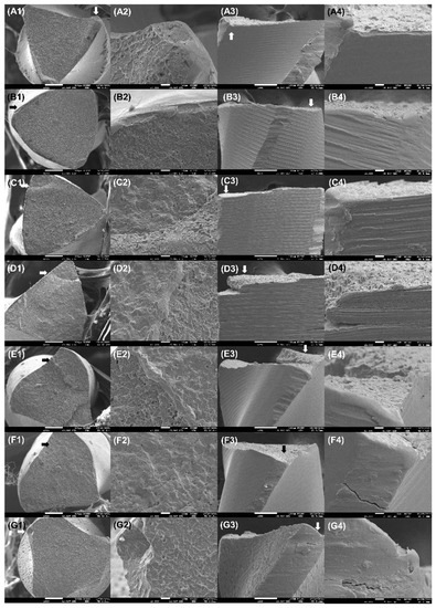 Mechanical Properties of NiTi Rotary Files Fabricated through Gold-Wire ...