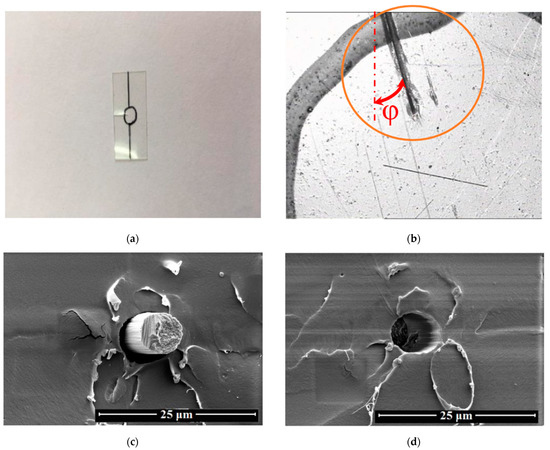 Fiber Orientation Reconstruction from SEM Images of Fiber-Reinforced ...