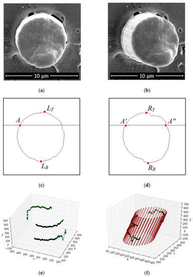 Fiber Orientation Reconstruction from SEM Images of Fiber-Reinforced ...