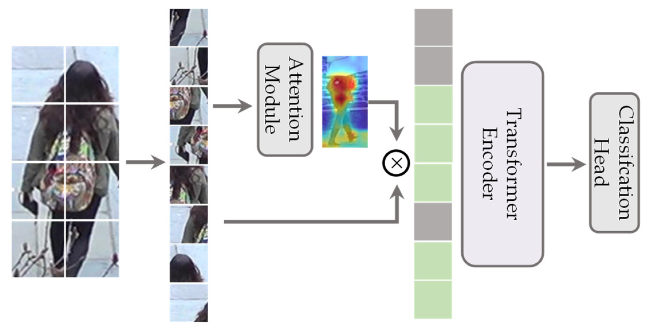 CNN Attention Enhanced ViT Network for Occluded Person Re-Identification