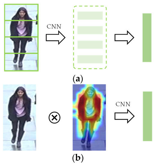 CNN Attention Enhanced ViT Network for Occluded Person Re-Identification