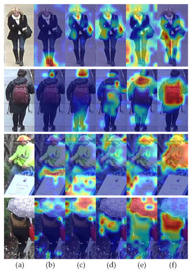 CNN Attention Enhanced ViT Network for Occluded Person Re-Identification