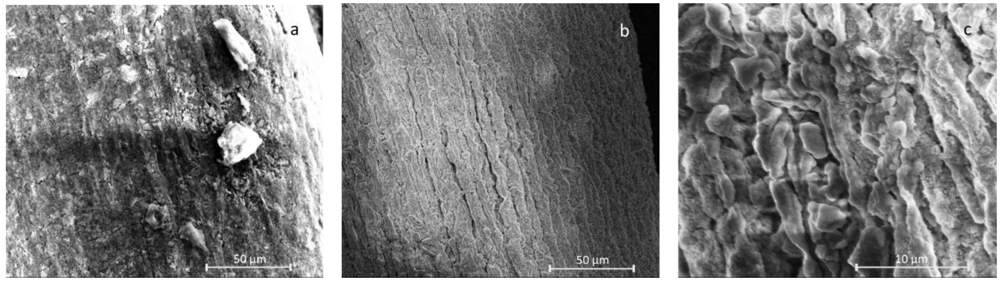 Growth of Zr/ZrO2 Core–Shell Structures by Fast Thermal Oxidation