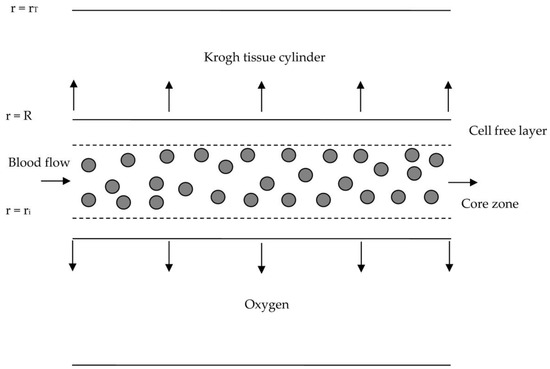A Model for Oxygen Transport from Blood in Microvessels to Tissue