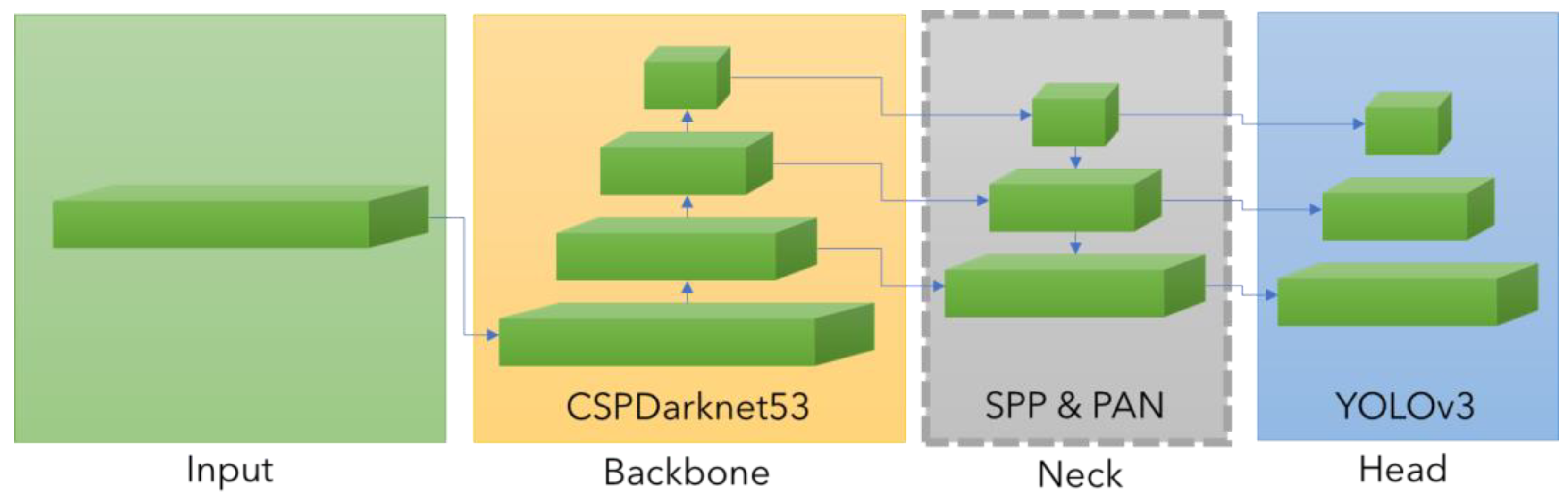 Fish Detection and Classification for Automatic Sorting System with an Optimized YOLO Algorithm