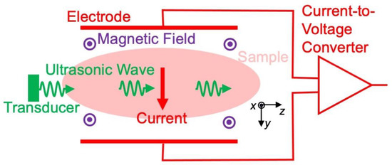 Magneto-Acoustic Imaging in Biology