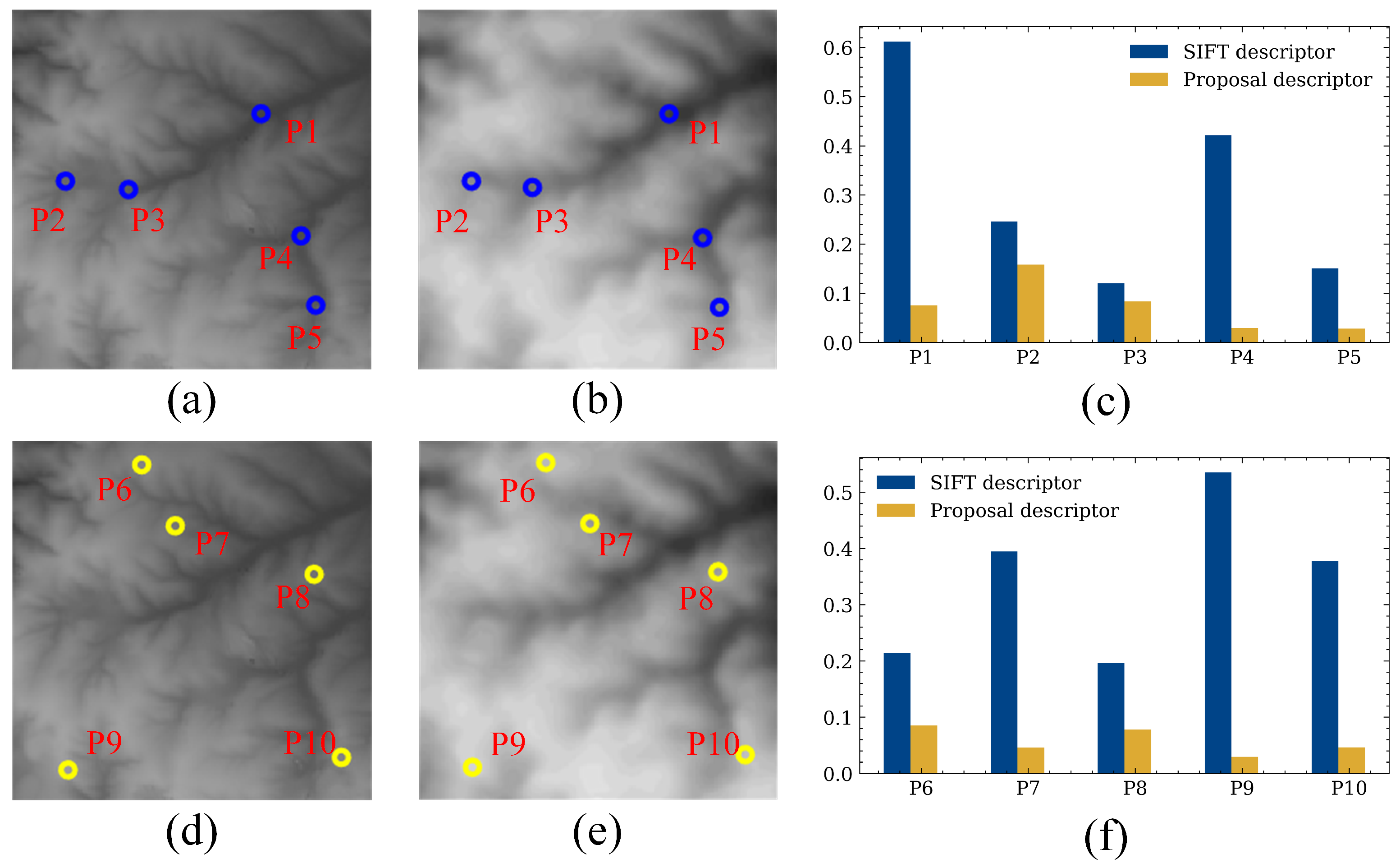 An InSAR Interference Fringe-Matching Algorithm Based on Mountain Branch Points